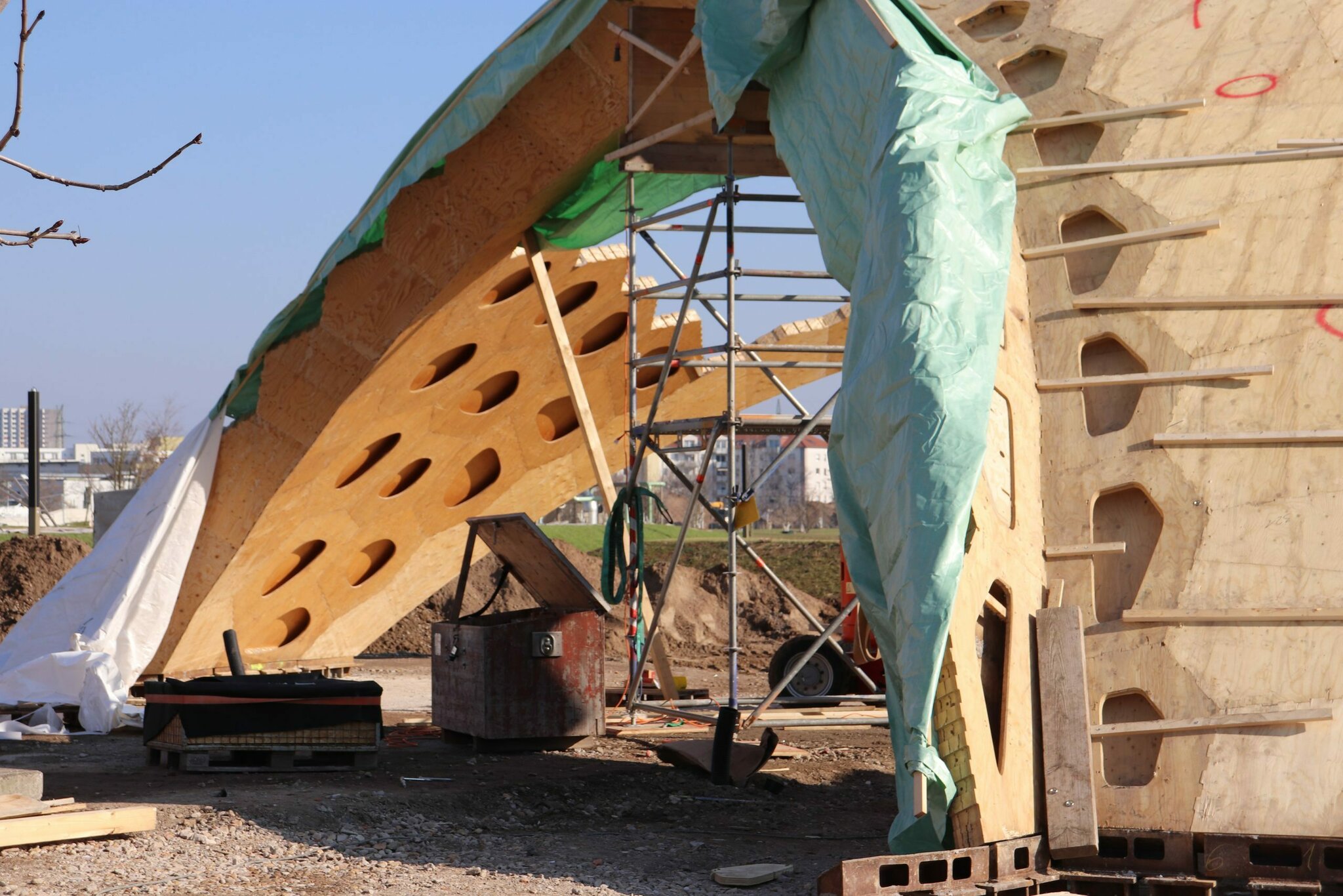 BUGA 23: Der Holzigel wächst - Friedrichsfeld